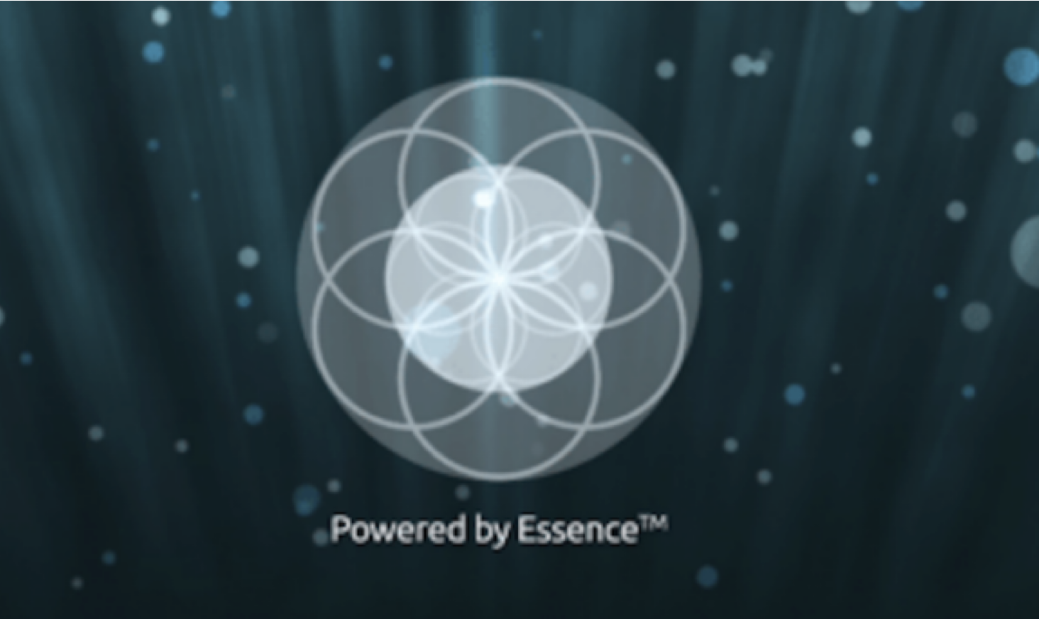 Essence EcoSync: Part 9: Strategic Vision and Future Directions ...